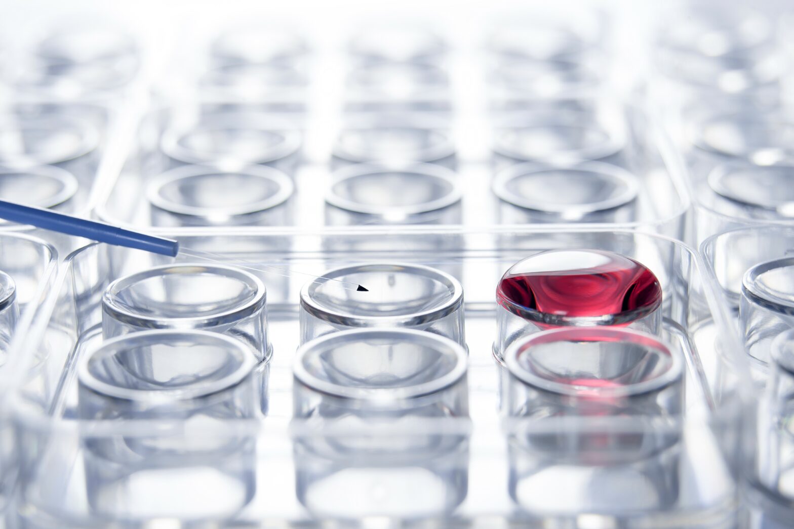 Vitrification Media. How to guarantee safety in the lab?