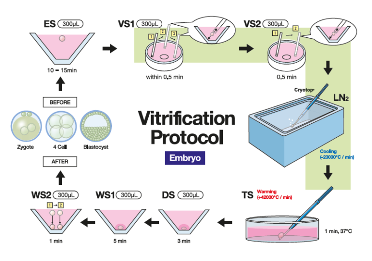 Achieve higher rates with a globally proven protocol