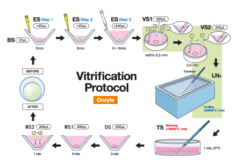 Achieve higher rates with a globally proven protocol