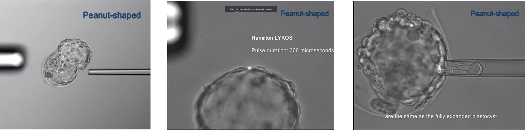 Lab Pills: Biopsy Techniques for Successful Results